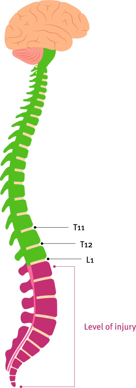 Anorectal examination | QSCIS